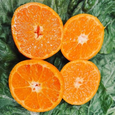 PEDRICK PRODUCE - Updated December 2025 - 1347 Photos & 634 Reviews ...