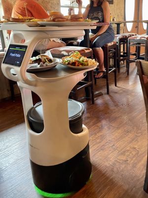 WILD WOMEN SALOON AND GRILL - Updated July 2024 - 122 Photos & 232 ...