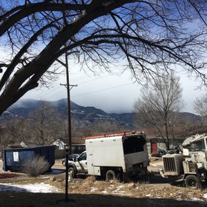 AFFORDABLE TREE AND SHRUB EXPERTS - 47 Photos & 29 Reviews - Colorado ...