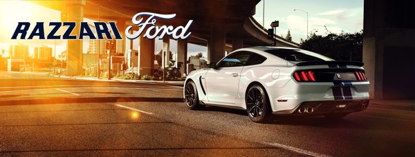 RAZZARI FORD - Updated November 2024 - 66 Photos & 221 Reviews - 1234 ...