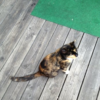 KEALIA RANCH STORE - Updated January 2026 - 12 Reviews - 86-4181 ...