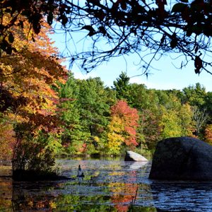 TRUSTOM POND WILDLIFE REFUGE - 146 Photos & 15 Reviews - Hiking - 1040 ...