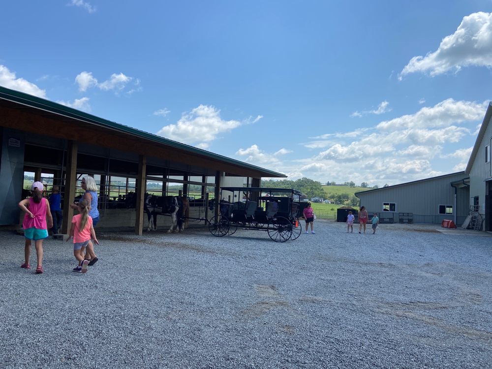 HERSHBERGER’S FARM AND BAKERY - 152 Photos & 63 Reviews - 5452 State ...