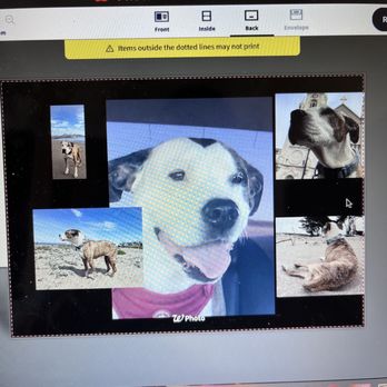 COLMA ANIMAL HOSPITAL - Updated May 2024 - 104 Photos & 292 Reviews ...