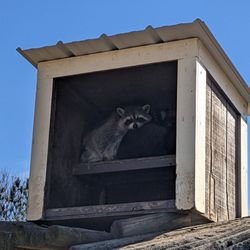 Best Zoos Near Me - October 2025: Find Nearby Zoos Reviews - Yelp