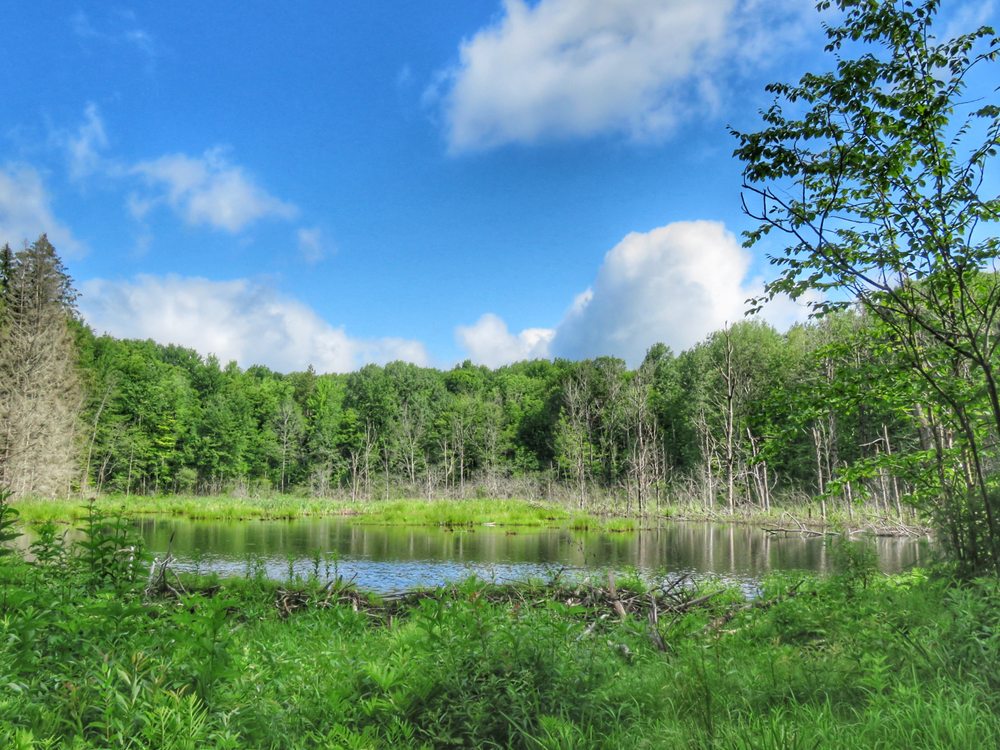 WOLF MOUNTAIN NATURE CENTER - 25 Photos - 562 Hopkins Crandall Rd ...