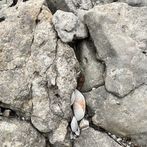 STARNES ISLAND LAKE TRAVIS - 16107 Wharf Cv, Leander, Texas - Beaches ...