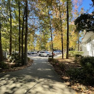 DANIEL LIBRARY - Updated July 2025 - 171 Moultrie St, Charleston, South ...