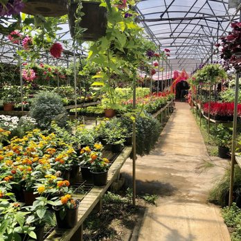 BOBO’S NURSERY & FLORIST - Updated December 2025 - 13 Photos & 11 ...