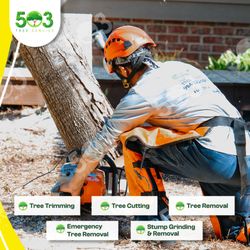 Best Tree Trimming Service Near Me - October 2025: Find Nearby Tree ...