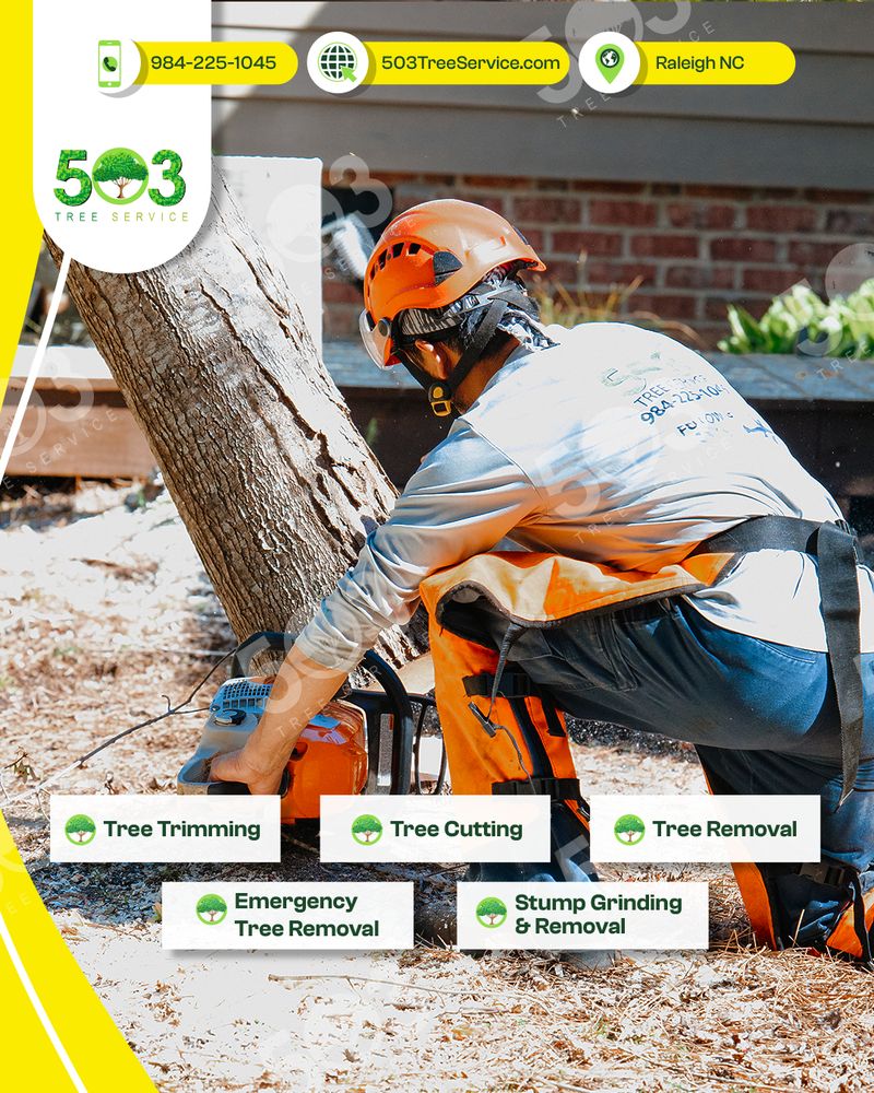 503 TREE SERVICE - Updated June 2025 - 71 Photos - Clayton, North ...