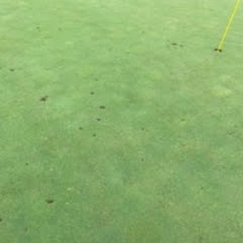 PEBBLE BROOK GOLF COURSE - Updated December 2025 - 26 Photos & 24 ...