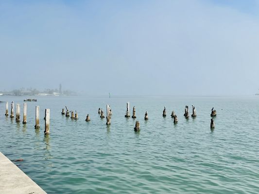 MERRY PIER - Updated September 2025 - 33 Photos - 801 Pass A Grille Way ...