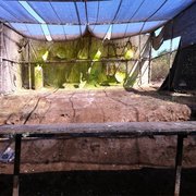 GIANT PAINTBALL PARK - 53 Photos & 53 Reviews - 1800 Wildcat Canyon Rd ...