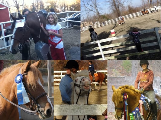 FOX RIDGE FARM - Updated August 2025 - 10 Photos - 511 County Rt 515 ...