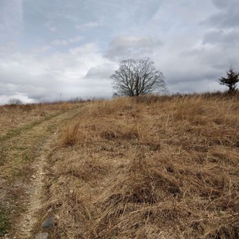 MERESTEAD - Updated October 2025 - 455 Byram Lake Rd, Mount Kisco, New ...