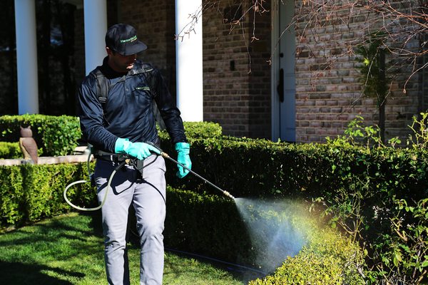 HOMESHIELD PEST CONTROL - Updated December 2025 - 199 Photos & 650 ...