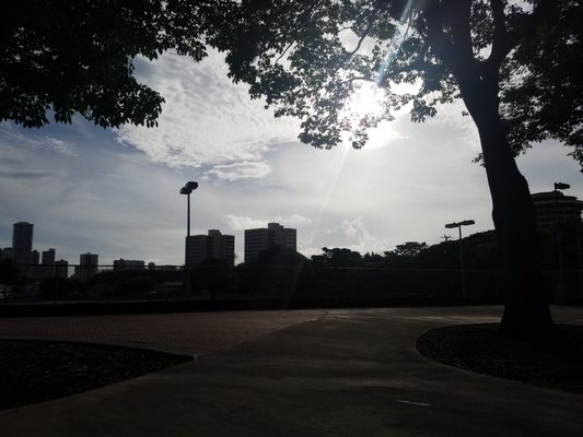 KANEWAI COMMUNITY PARK - 47 Photos & 19 Reviews - 2659 Dole St ...