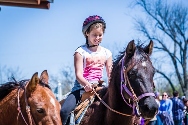 RIVER RANCH TEXAS HORSE PARK - Updated July 2025 - 71 Photos & 26 ...