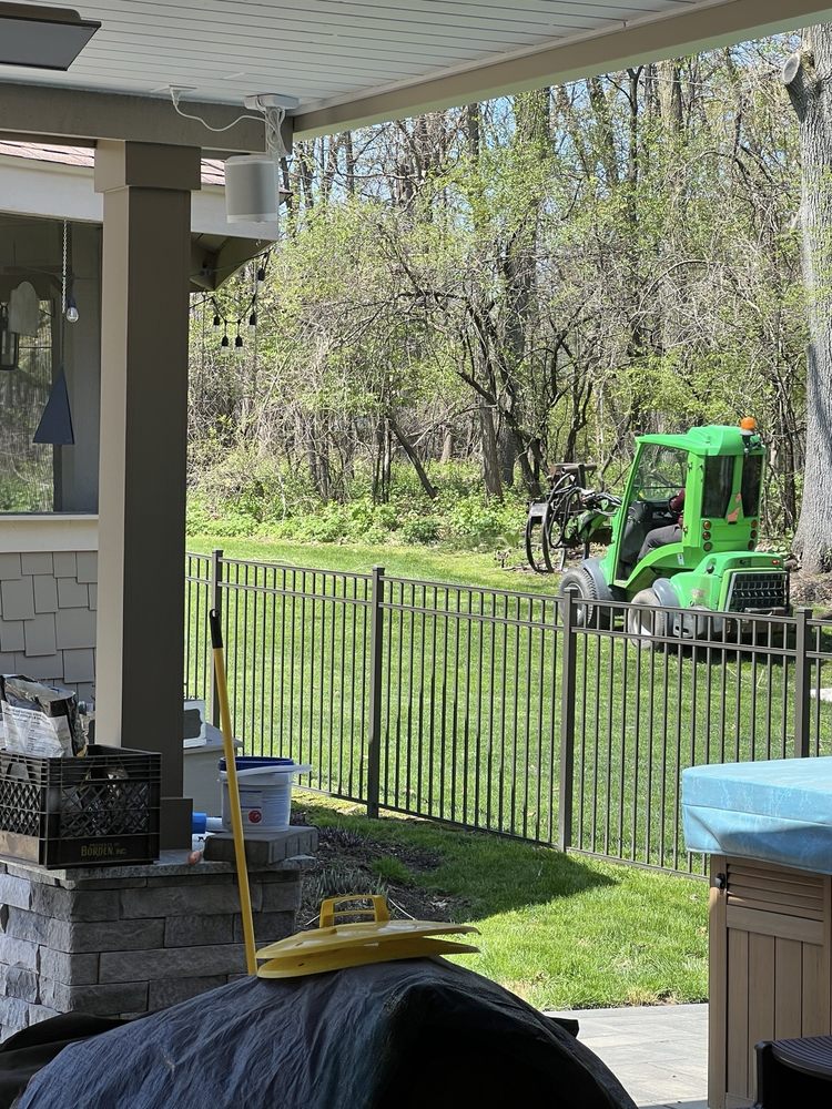 ARBOL TREE SERVICE - Updated October 2025 - 56 Photos & 24 Reviews ...