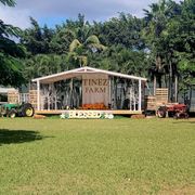 TINEZ FARMS - 258 Photos & 35 Reviews - 16405 SW 177th Ave, Miami, FL ...