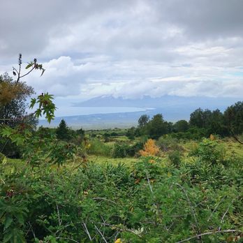 THOMPSON ROAD - Updated June 2025 - 75 Photos - Thompson Rd, Kula ...