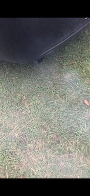 HOUSTON DIRECT AUTO - Updated October 2024 - 73 Photos & 169 Reviews ...