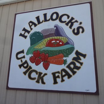 HALLOCK’S U-PICK FARM & GREENHOUSE - Updated December 2025 - 52 Photos ...