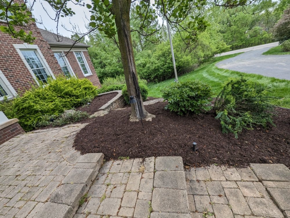 THE LANDSCAPE ARTISAN - Updated June 2024 - Request a Quote - 30 Photos ...