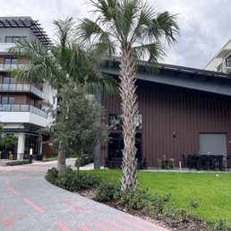 THORN - Updated July 2025 - 377 Photos & 168 Reviews - 6970 SW 40th St ...