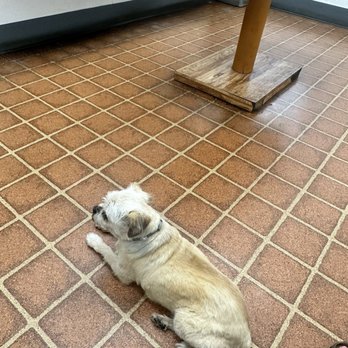 MICHAEL BUTCHKO, DVM - Updated April 2025 - 213 Photos & 534 Reviews ...