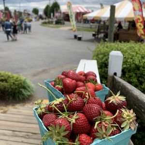 PHILLIPS FARMS - Updated August 2025 - 91 Photos & 24 Reviews - 91 Crab ...