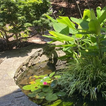 JC RAULSTON ARBORETUM - 584 Photos & 103 Reviews - 4415 Beryl Rd ...