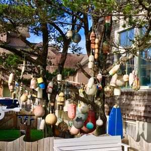 CLEANLINE SURF - Updated January 2026 - 39 Photos & 102 Reviews - 60 N ...