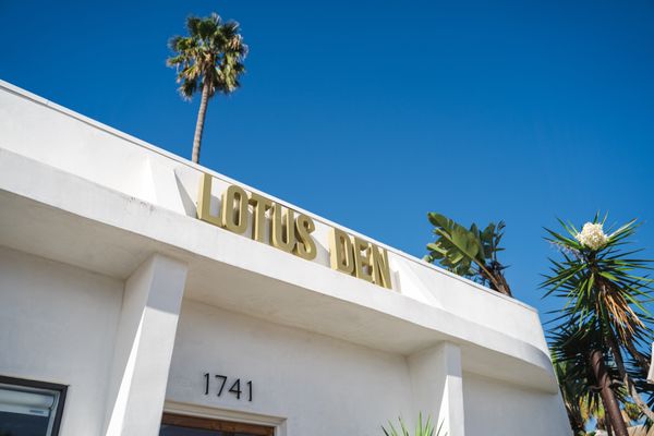 LOTUS DEN - Updated December 2025 - 366 Photos & 445 Reviews - 1741 S ...