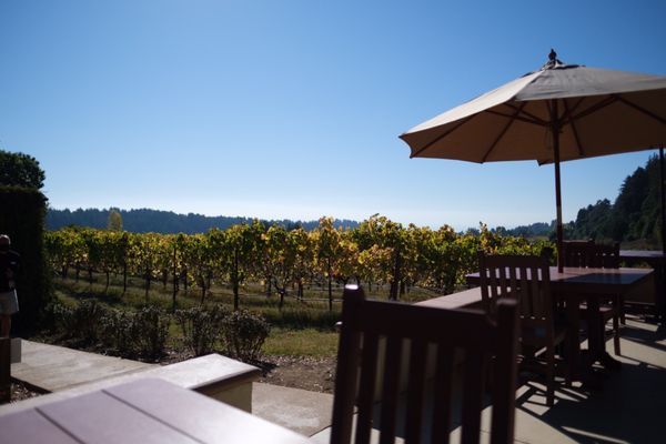 SOQUEL VINEYARDS - Updated November 2024 - 69 Photos & 76 Reviews ...