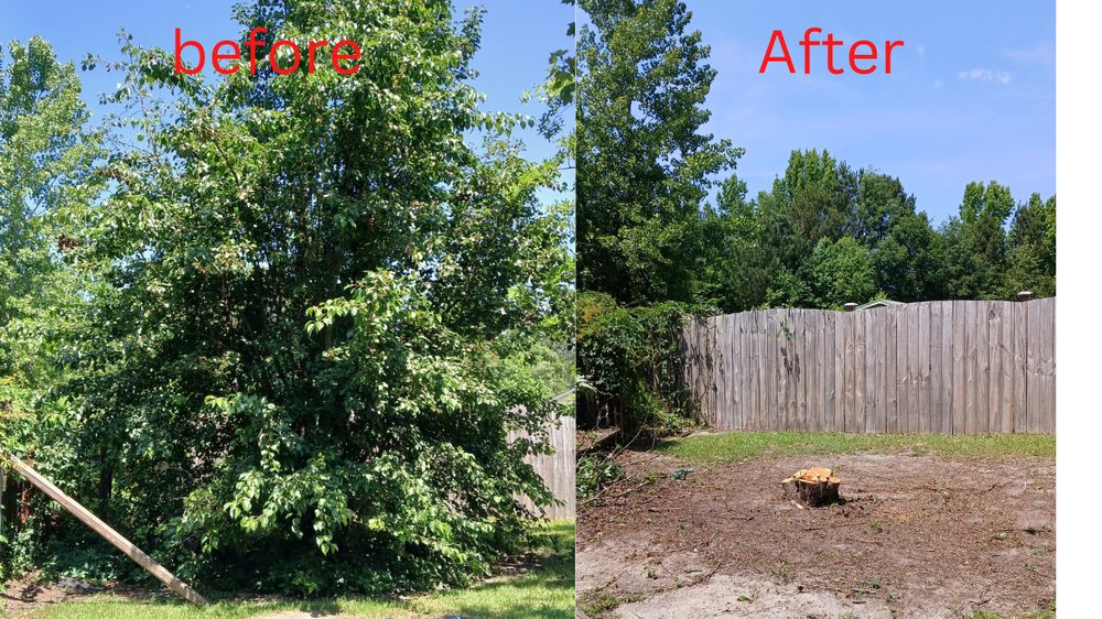 AMAZING LAWN CARE - Updated October 2025 - 31 Photos - Columbia, South ...