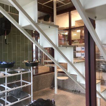 Humane Society of Pikes Peak Region - 27 Photos & 62 Reviews - Animal ...