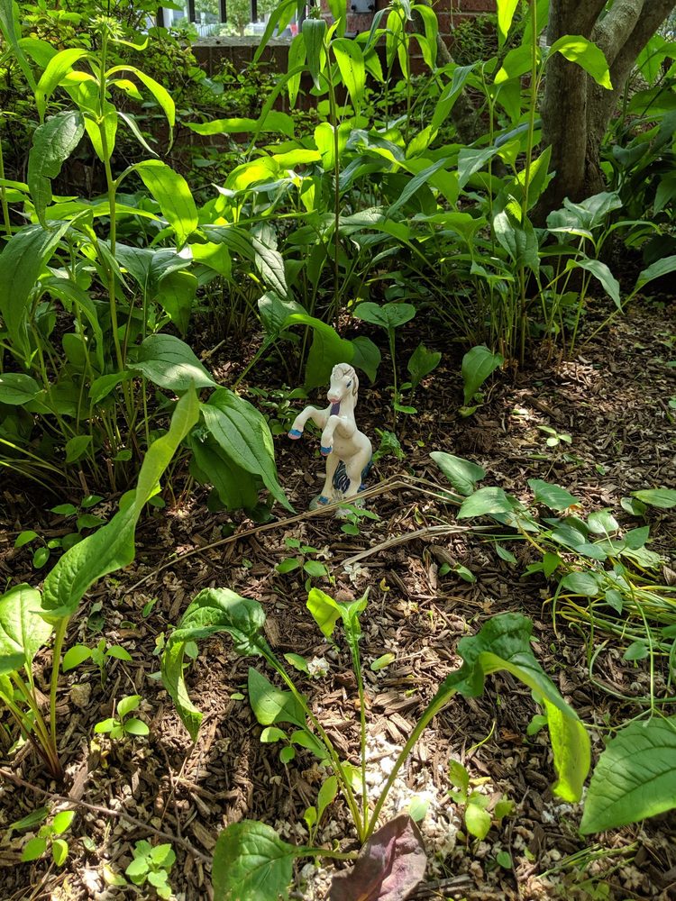 NORTH HAVEN LIBRARY - Updated May 2024 - 33 Main St, North Haven, Maine ...