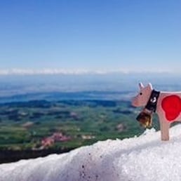 D&R MARKET - Updated July 2025 - 46 Photos & 81 Reviews - 105 N Creasy ...