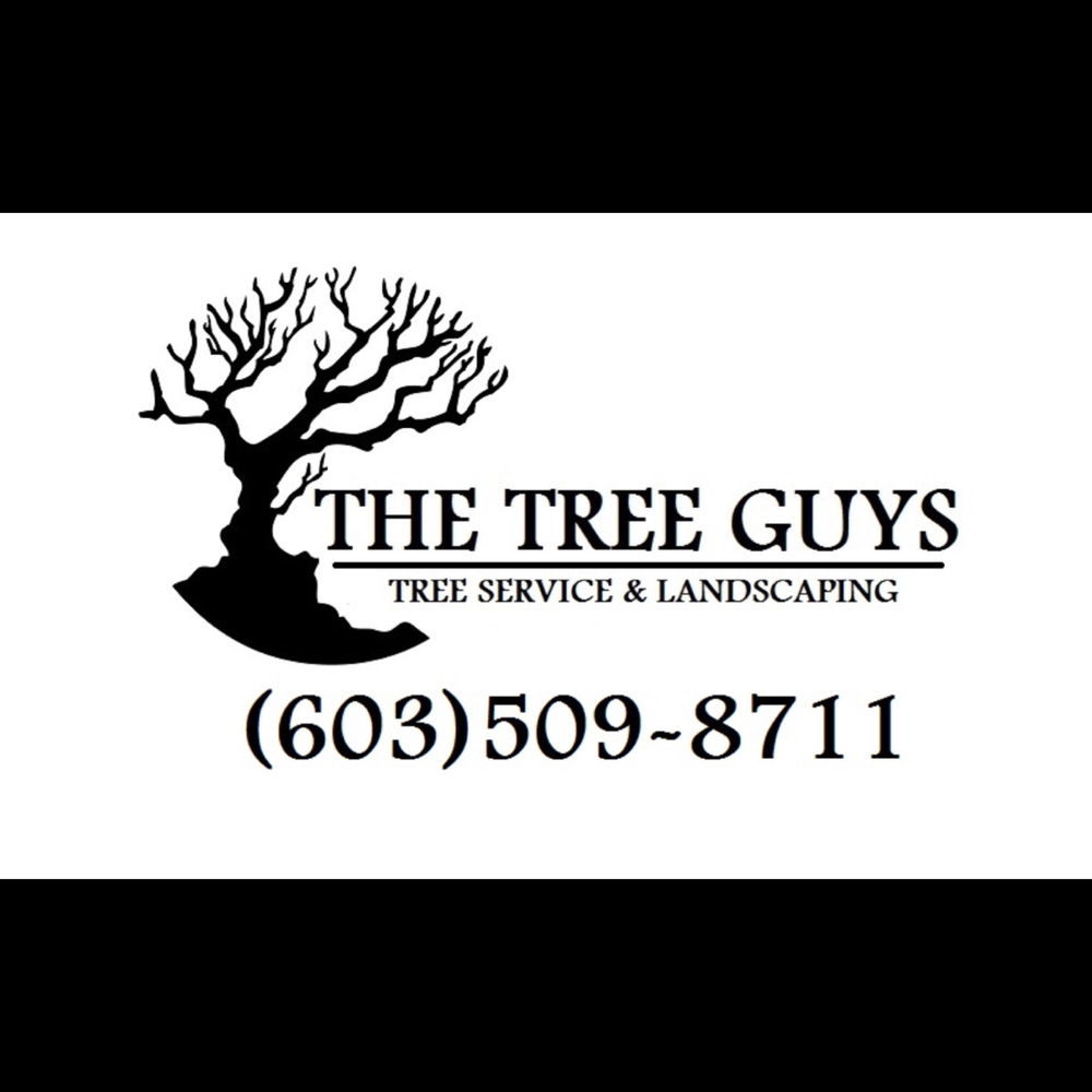 THE TREE GUYS - Updated July 2024 - 32 Auen Way, Middleton, New ...