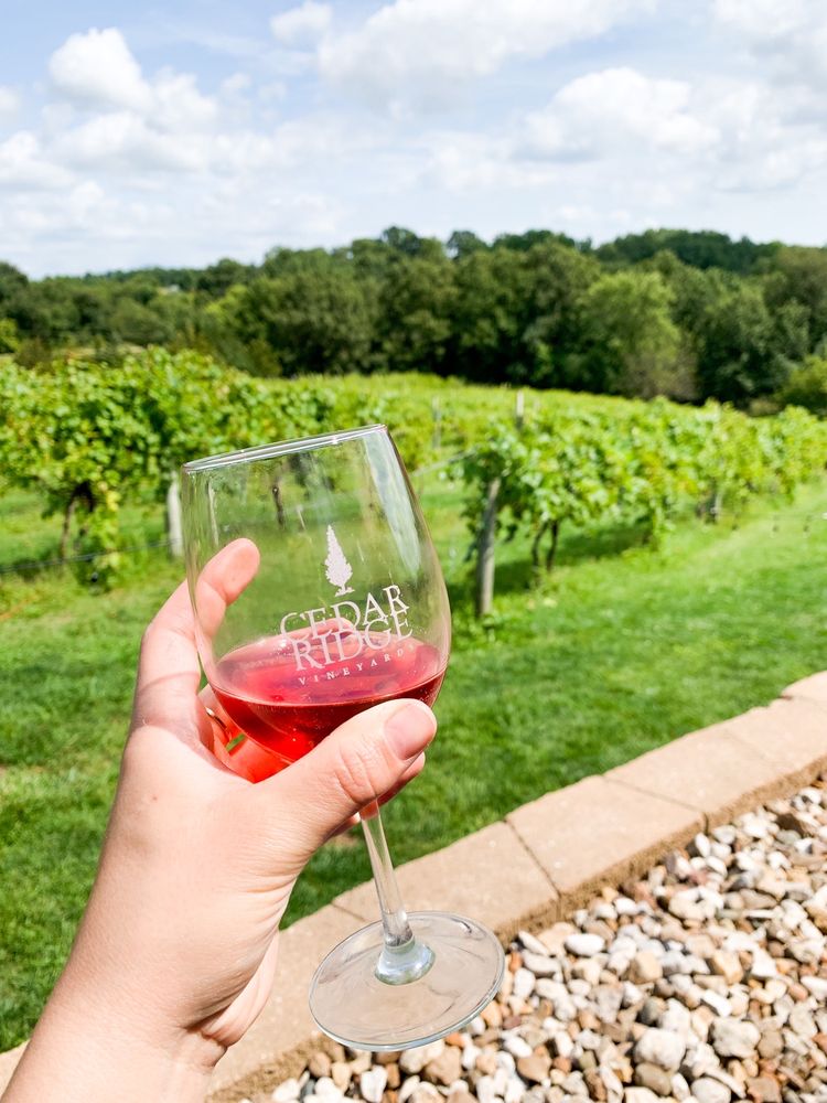 CEDAR RIDGE WINERY & DISTILLERY - 182 Photos & 112 Reviews - Wineries ...