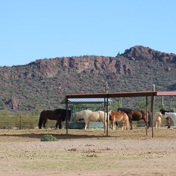 WHITE STALLION RANCH - Updated September 2025 - 148 Photos & 79 Reviews ...