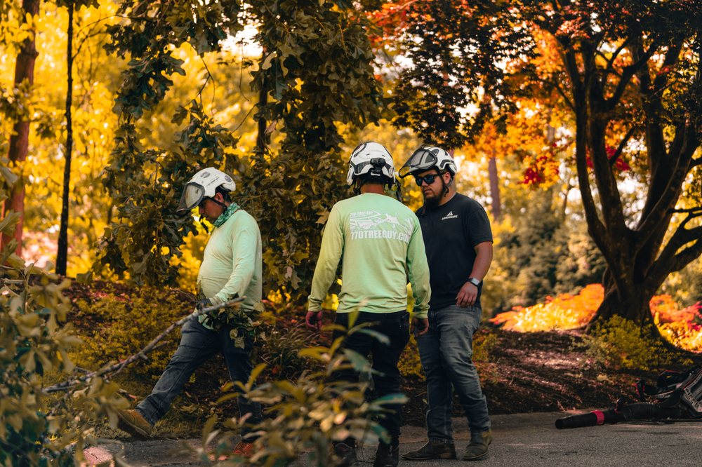 770-TREE-GUY - Updated October 2025 - 14 Photos & 11 Reviews - 238 1st ...