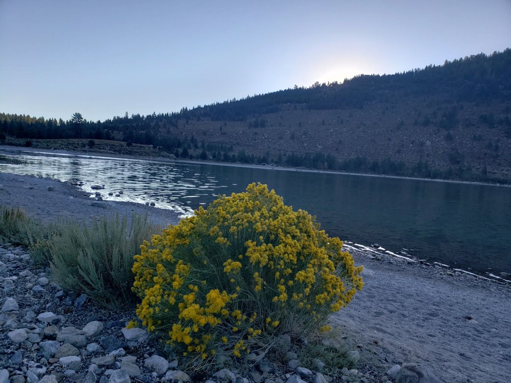 OH RIDGE - Updated July 2024 - 109 Photos & 54 Reviews - Inyo National ...