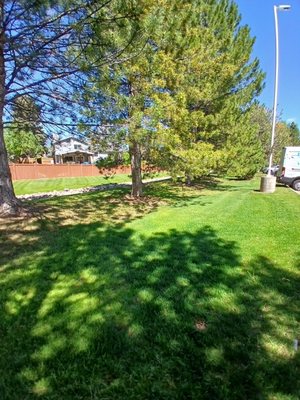 KOELBEL LIBRARY - Updated December 2025 - 47 Photos & 37 Reviews - 5955 ...