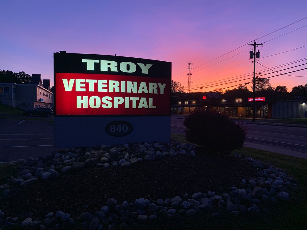 TROY VETERINARY HOSPITAL - Updated July 2025 - 840 Hoosick Rd, Troy ...