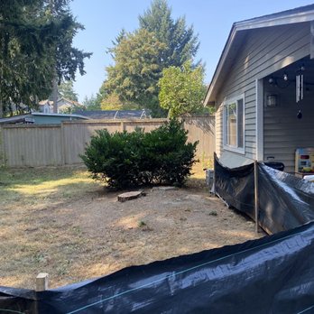 ALEX TREE SERVICE - Updated April 2025 - 22 Photos - 744 N 179th St ...