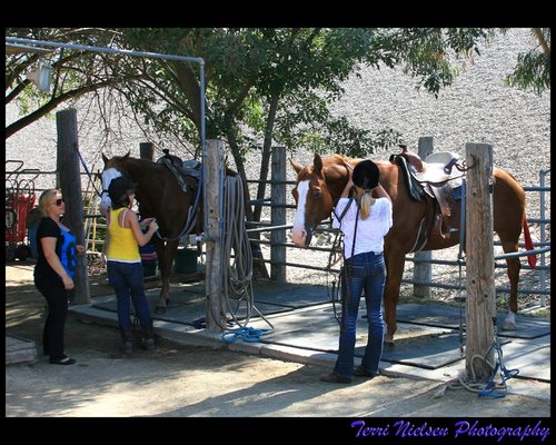 HIDDEN CREEK RANCH - Updated January 2026 - 26 Photos - 7741 E Santiago ...