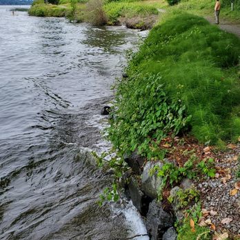 MADRONA PARK - Updated August 2025 - 95 Photos & 33 Reviews - 853 Lake ...